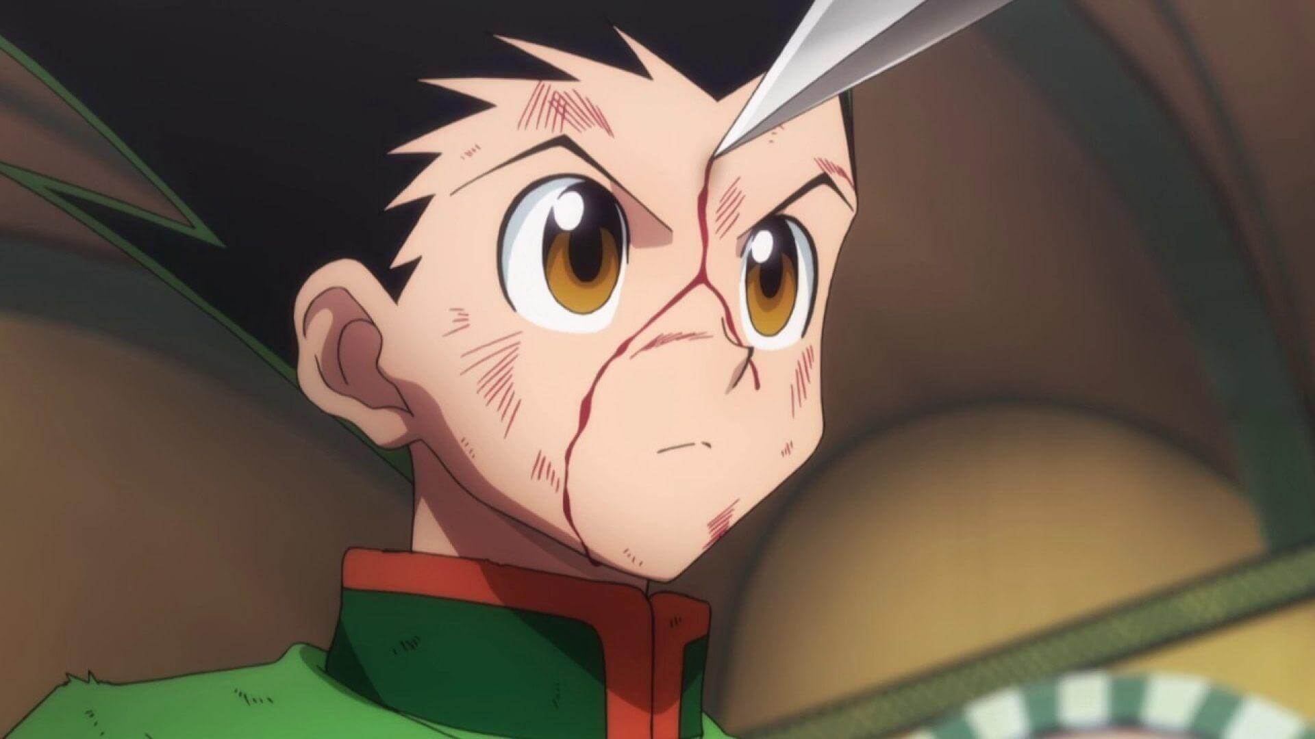 Os fortificadores mais habilidosos de Hunter X Hun...